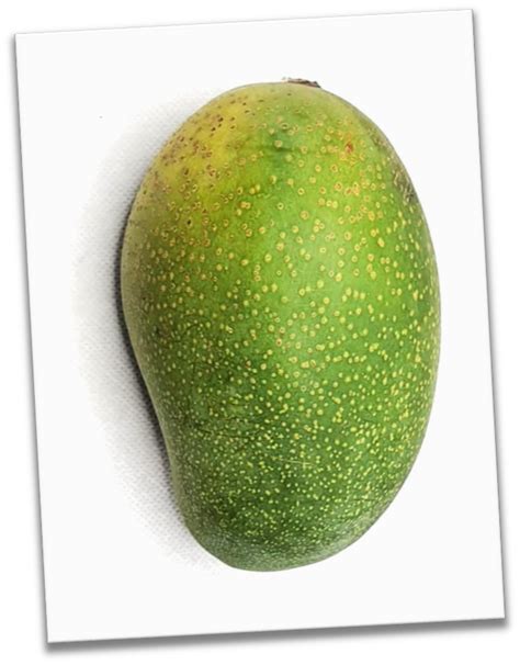 Arumanis Mango S A F E