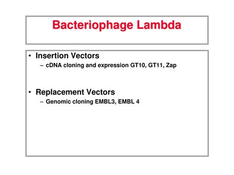 Mapping The Human Genome Ppt Download