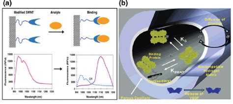 3 A Schematic Representation Of Principle Of Fluorescent Sensing Of Download Scientific Diagram