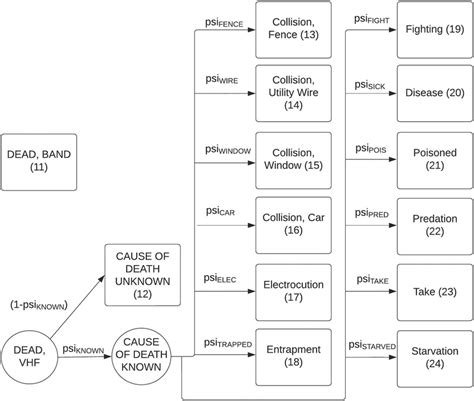 Cause Of Death Component Of The Multistate Survival Model Used To Download Scientific Diagram