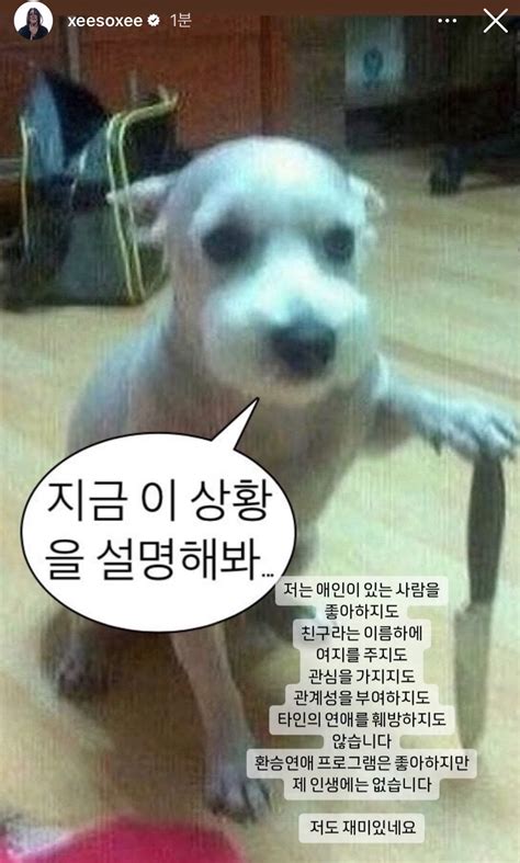 마플 머글들 칼 든 개 짤 보고 놀란게 ㄹㅇㅋㅋㅋㅋㅋㅋㅋㅋ 인스티즈instiz 연예 카테고리
