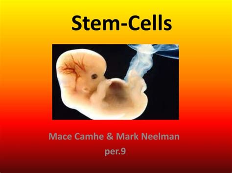 Organ Cloning