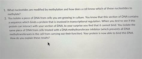 Solved 1 What Nucleotides Are Modified By Methylation And