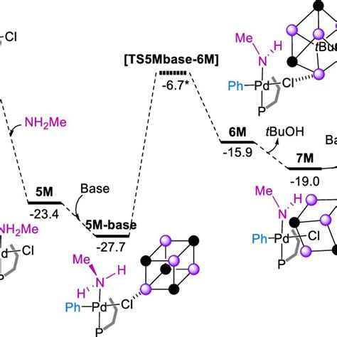 Gibbs Energy Profile For The Reaction Of 3 With Aniline And The Base Download Scientific