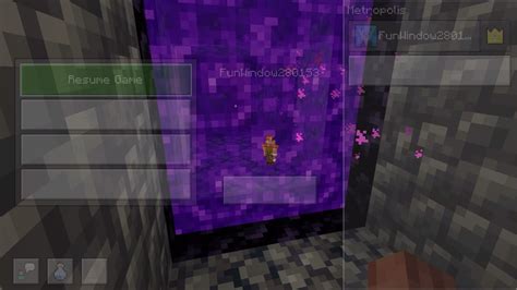 Bug Suffocation In Nether Portal Rminecraft