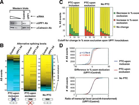 Quantitative Microarray Profiling Provides Evidence Against Widespread