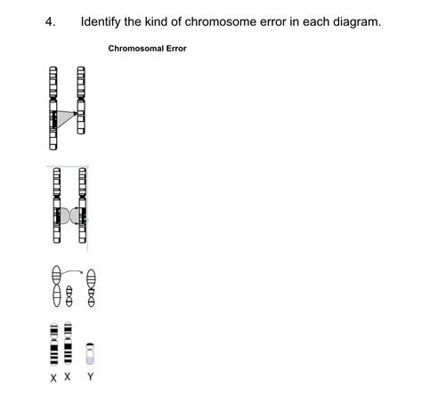 Answered Identity The Kind Of Chromosome Error… Bartleby