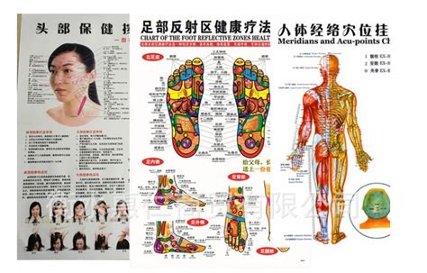高清足图足底穴位图足部反射区健康疗法挂图脚底手耳头全身正侧背 阿里巴巴