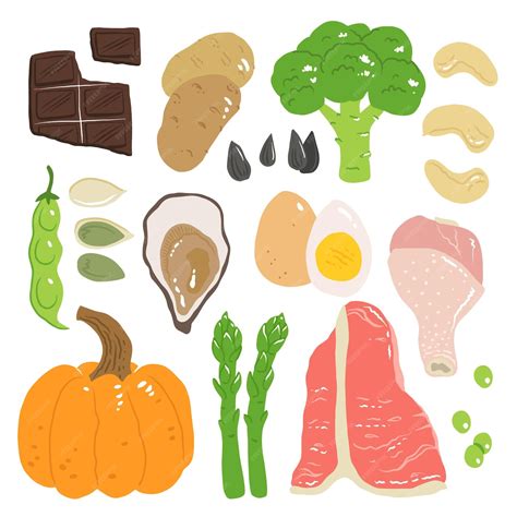Premium Vector Zinc Food Sources Vector Stock Illustration Food