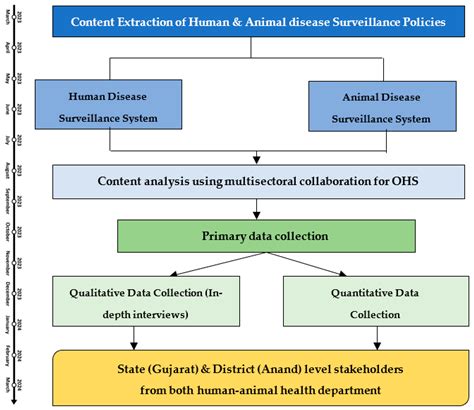 One Health Surveillance System In Gujarat India A Health Policy And Systems Research Protocol