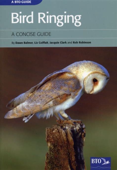 Bird Ringing Natur Og Fritid