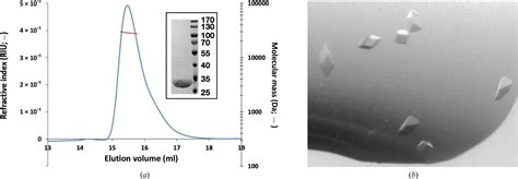 IUCr The X Ray Crystallography Phase Problem Solved Thanks To AlphaFold And RoseTTAFold Models