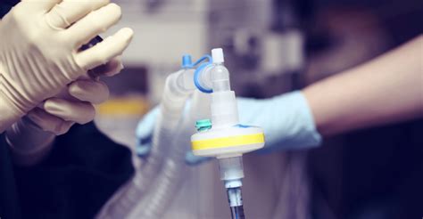 Crna School Requirements And Tips For 2024 Nurseonestop