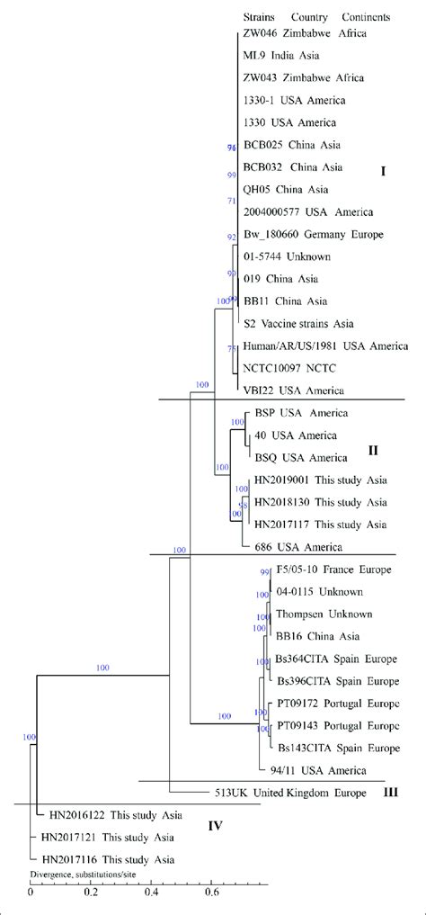 Phylogenetic Trees Of Brucella Suis Using SNPs From Whole Genomes