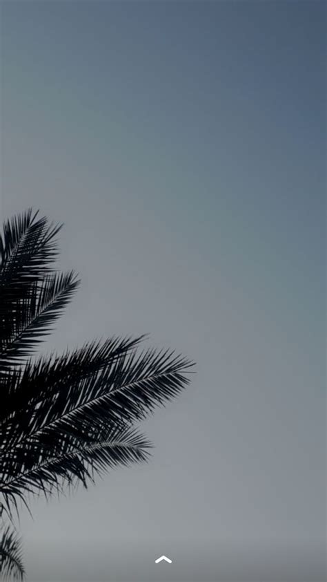 اللـهم لـيلة لا نـنام فـيها مـن شـدة الـفرح 🖤 Garden Plants Clouds
