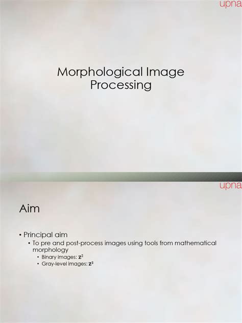 Morphological Processing B Pdf