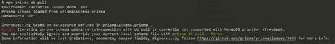 Mongodb Introspection Connects To Database Even When Failing With Error