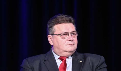 Linas Linkevičius Niektórzy Politycy Nie Odróżniają Polityki Od Gramatyki Delfi Ru