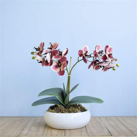 Arranjo de Orquídea Artificial no Vaso Branco formosinha