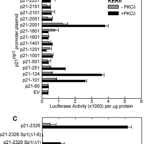 Pkc Activation Of P21 Cip1 Promoter Involves Multiple Elements A