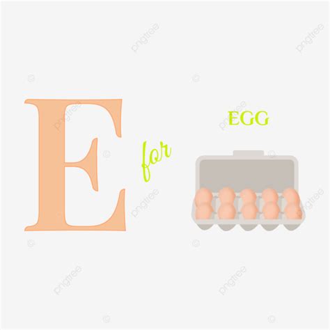 계란 벡터 일러스트 레이 션에 대 한 영어 알파벳 E 영어 알파벳 영어 문자 E 전자 계란 Png 일러스트 및 벡터 에