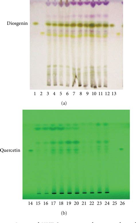 table 2 from development and validation of hptlc method for