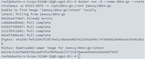 【经验分享】ddns配置 使用ddns Go Csdn博客