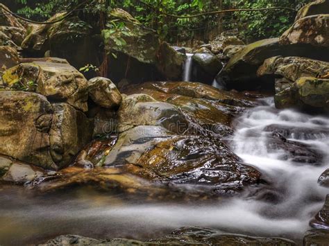 Corriente Lisa Sedosa Hermosa De La Cascada En La Selva Tropical Sabah