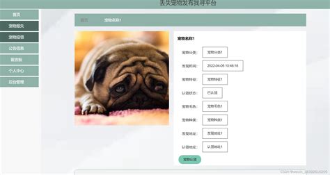 丢失宠物发布找寻平台