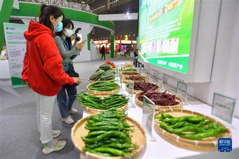 第二十三届中国中部（湖南）农业博览会在长沙开幕 组图 图片中国中国网