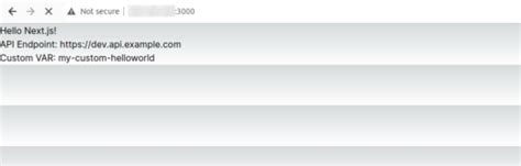 Nextjs Environment Variables Built In Public And Private Configu