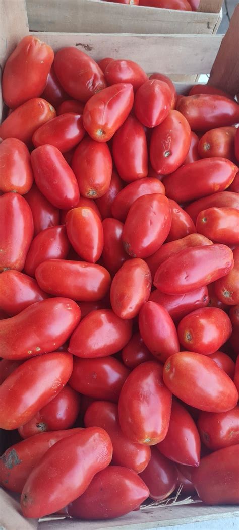 Marijo Glavaš On Linkedin Winter Is Coming