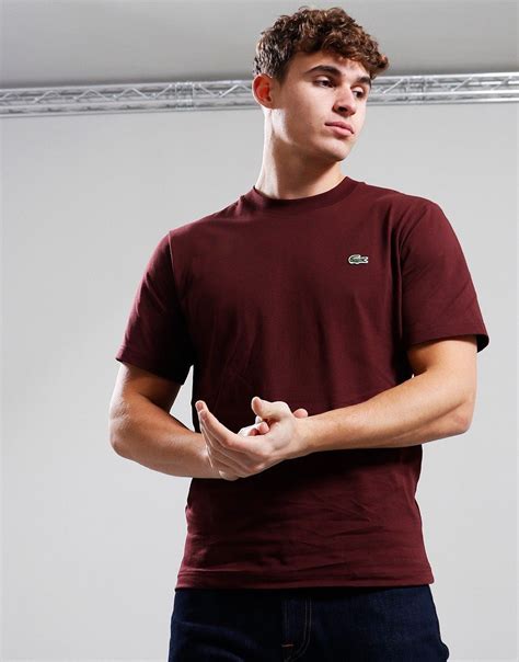 Lacoste Cotton Logo T Shirt Bordeaux Terraces Menswear