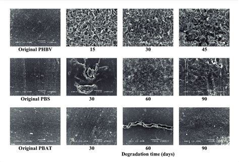 Sem Micrographs Of Residual Samples A Phbv B Pbs And C Pbat At