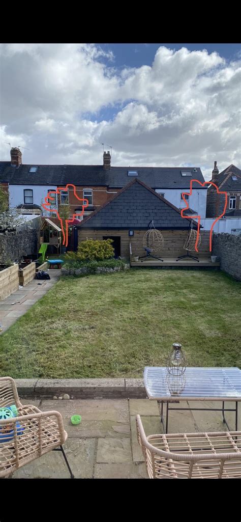 Screening Trees Advice Rgardeninguk