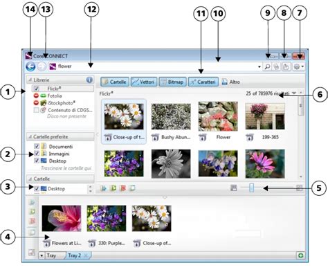 Coreldrawhelp Esplorazione Di Corel Connect