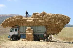 Un dépliant sur l agriculture l industrie et le commerce Ostad