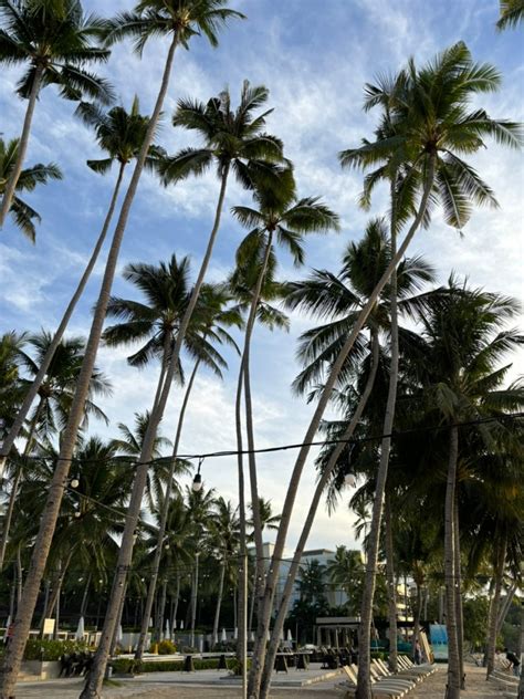 보홀여행3박5일🌴알로나비치 발리카삭 호핑투어 젠스파 할로망고 꽃분식꽃다방 헤난알로나비치 비비큐 아일랜드시티몰