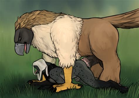 Rule 34 Accipitrid Accipitriform Anal Anal Sex Anthro Avian Big Dom