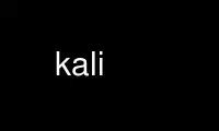 Kali Online In The Cloud