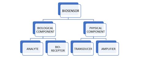 Introduction To Biosensors Pioneering The Future Of Analytical Technology Bio Help Learning