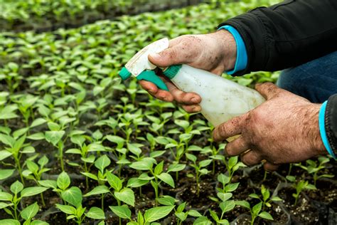 Horti By Greensnap