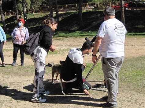 Un Domingo Diferente Astro Experiencias