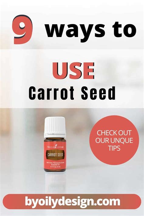 Carrot Seed Oil 9 Surprising Ways To Use It By Oily Design