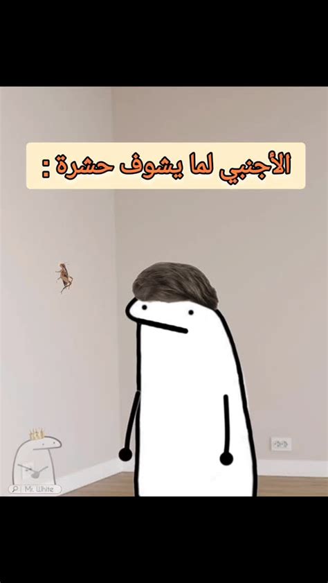 Mrwhite210 ‎لما جدتك تحميك من ابوك 😂😂😂 منشنالبيستفرند منشنلشخص