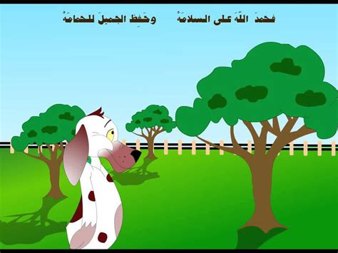 قصة الكلب والحمامة Youtube