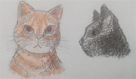 I Drew Some Cats As Cross Hatching Practice R Sketches