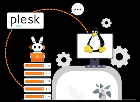 Plesk Server Management Services And Support Provider