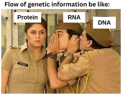 24 Dna Memes That Are Genetically Engineered For Laughs Funny