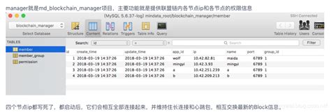 使用java开发一个自己的区块链产品、联盟链区块链系统java Gitee Csdn博客